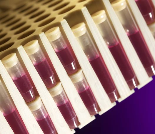 comPOUND | SPT Labtech